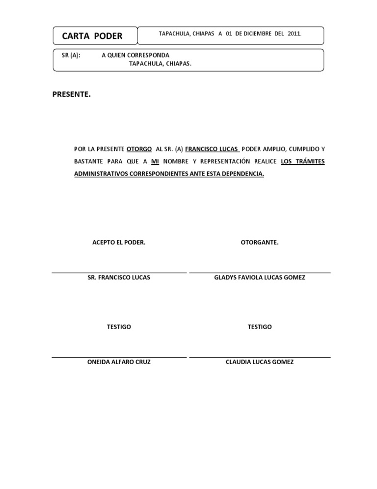 Modelo Carta Poder | PDF