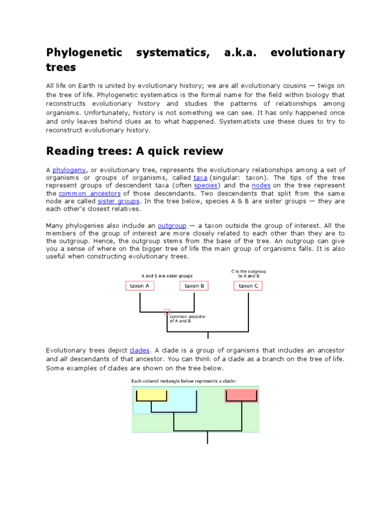 Phylogenetic Systematics | PDF | Phylogenetic Tree | Clade