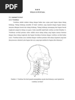 Anatomi Dan Fisiologi Vertebrae Cervical | PDF