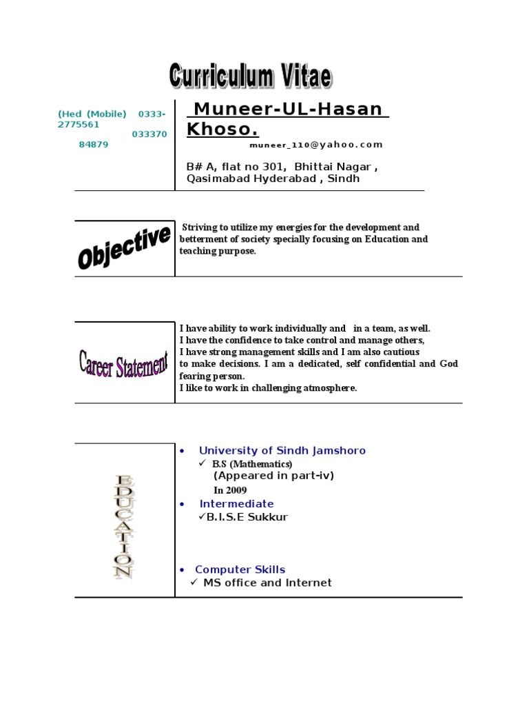 Muneer CV | PDF | Sindh | Teaching And Learning