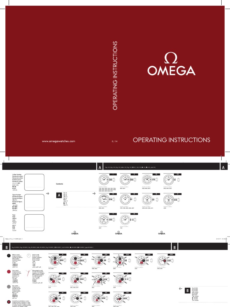 Manual Usuario Omega | PDF | Reloj | Naturaleza