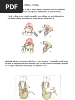 Tema 3. - Incisiones y Colgajos | PDF | Odontología | Biopsia