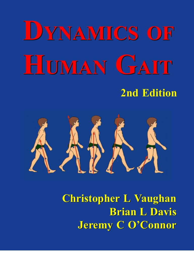 Dynamics of Human Gait | PDF | Foot | Nervous System