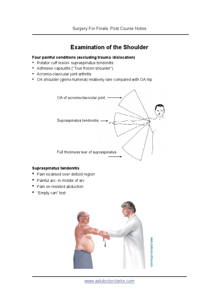 Shoulder Exam | PDF | Shoulder | Anatomical Terms Of Motion