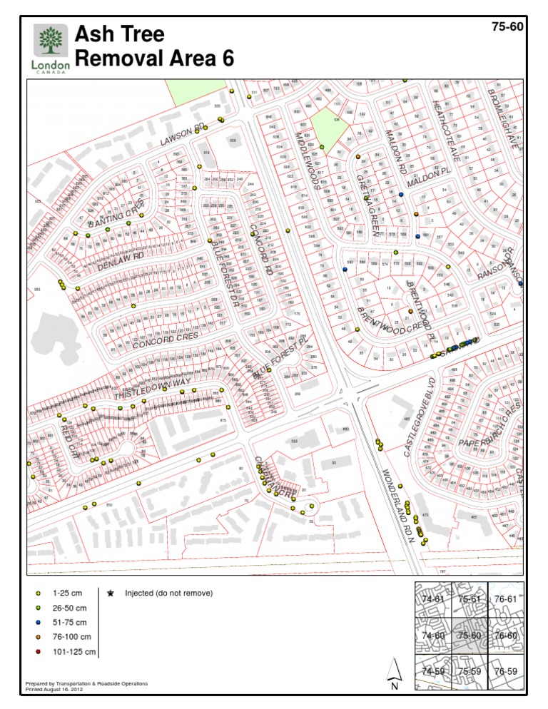 Ash Removal 75-60 | PDF | Technology & Engineering