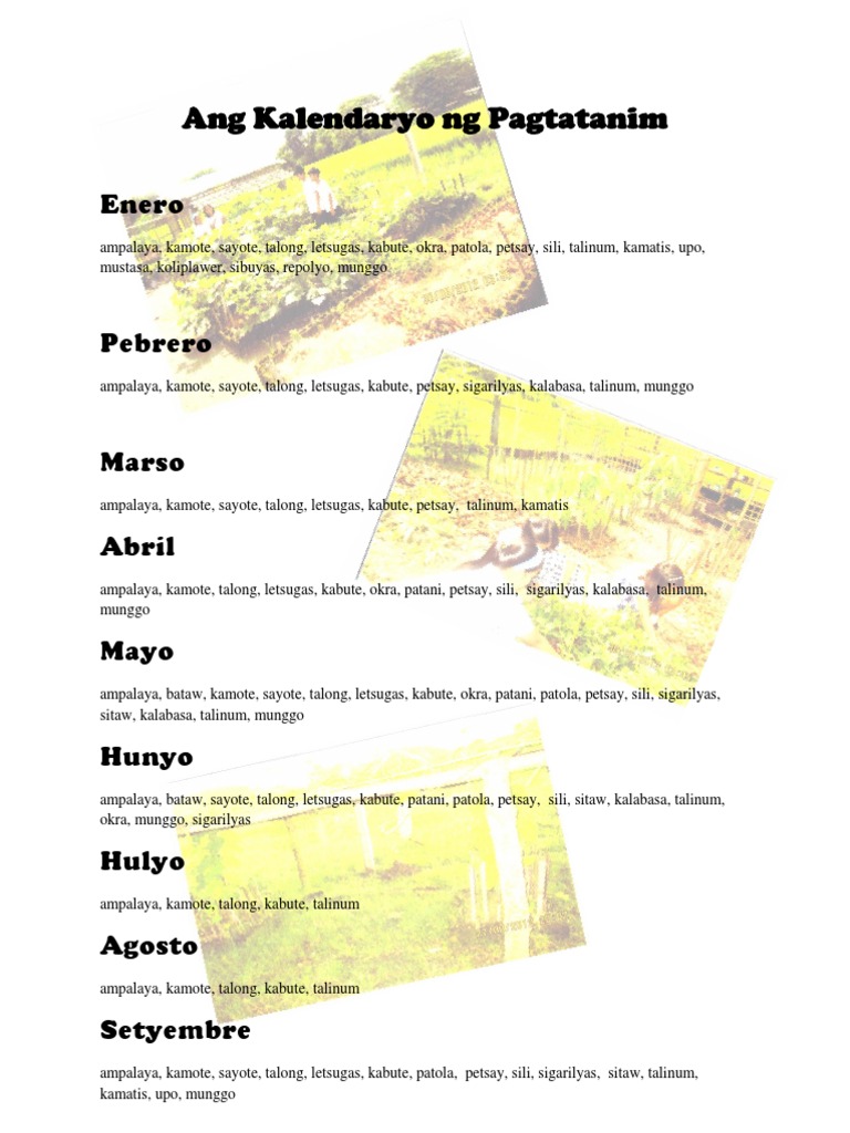 Ang Kalendaryo NG Pagtatanim | PDF