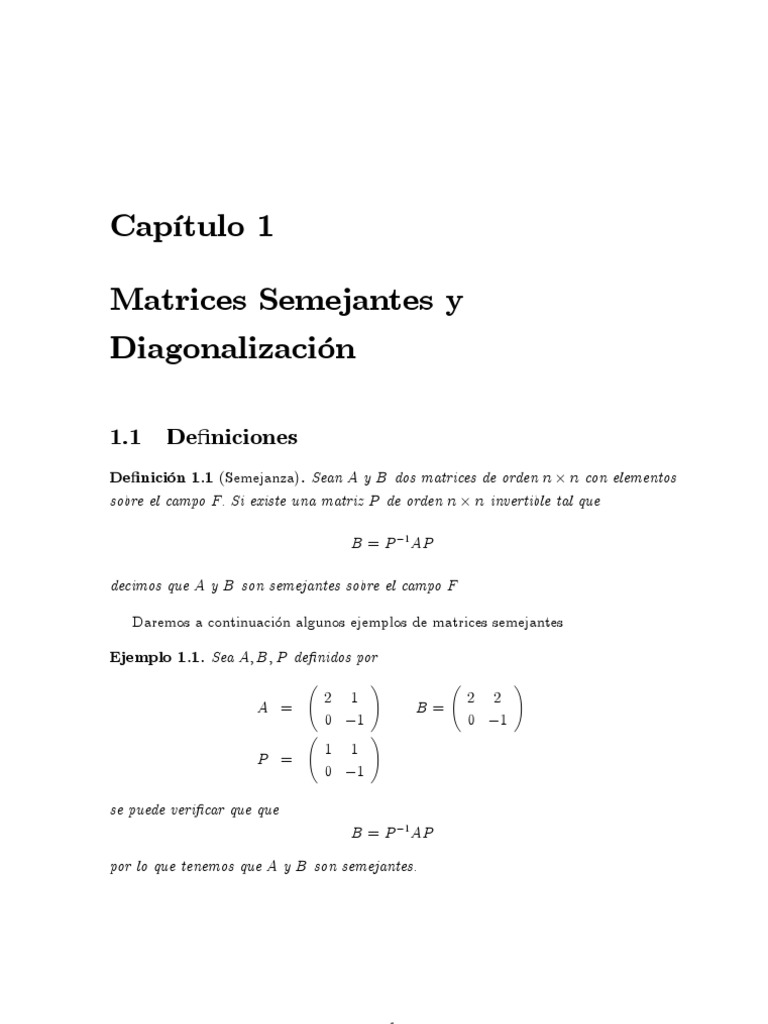 Teoria Diagonalizacion de Matrices | PDF | Valores propios y vectores propios | Matriz (Matemáticas)