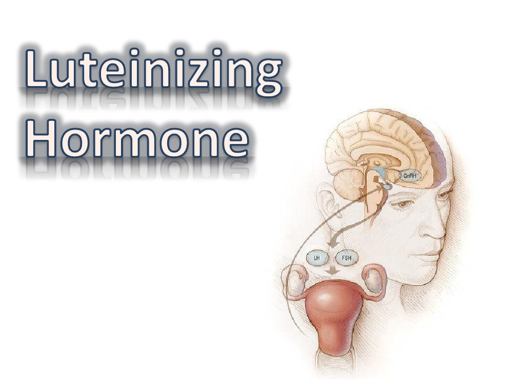 Luteinizing And Follicle Stimulating Hormone Powerpoint Pdf