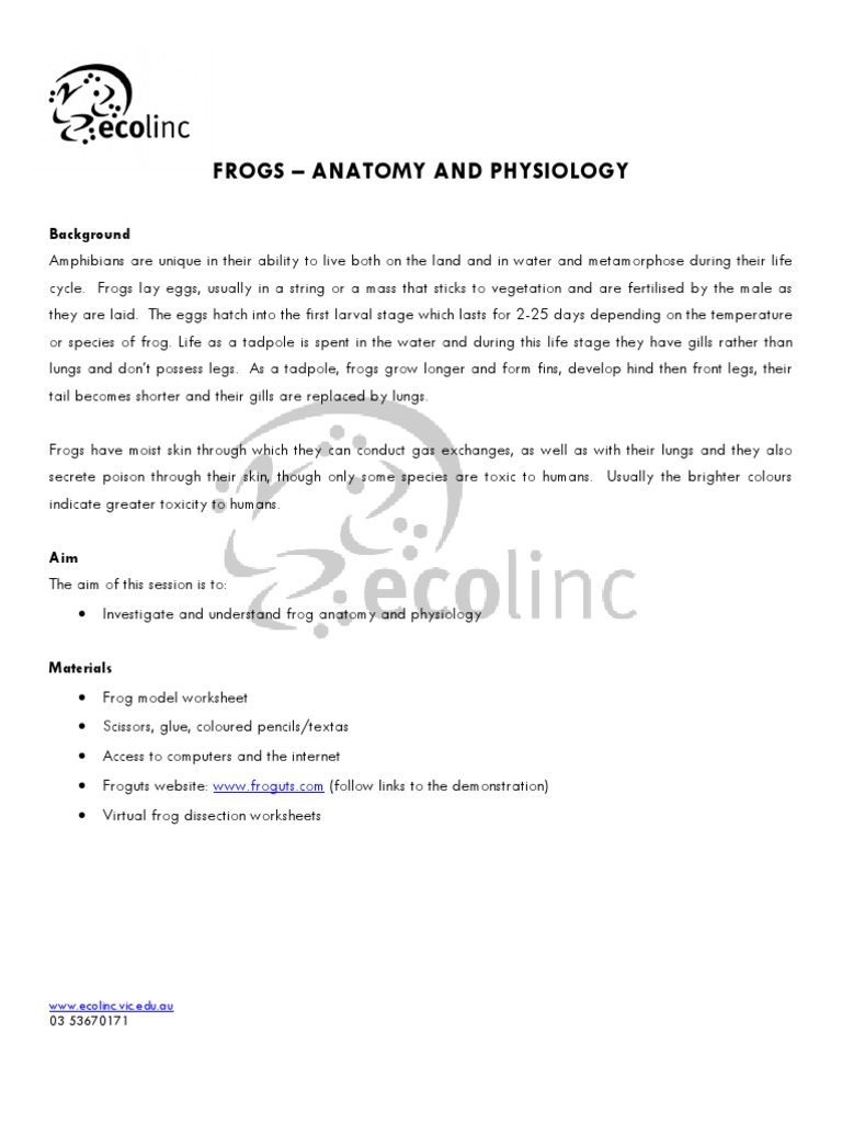 Frog Anatomy and Virtual Dissection Guide | PDF | Frog | Amphibian