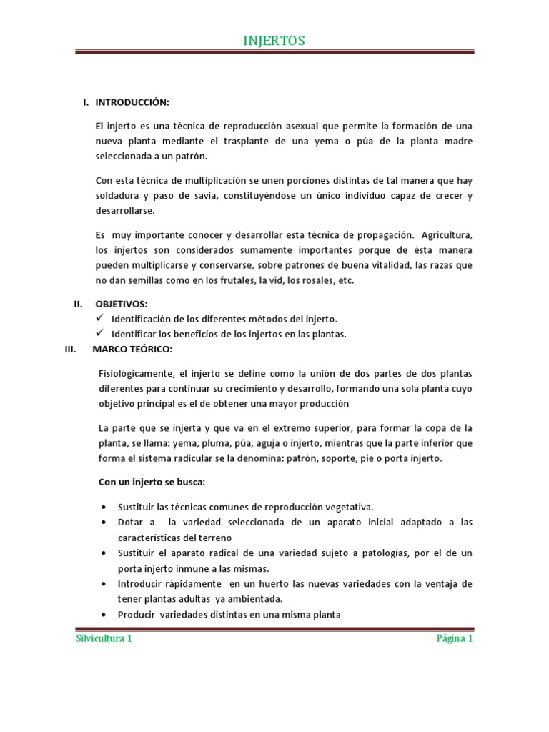 Injertos | PDF | Injerto | Tallo de la planta