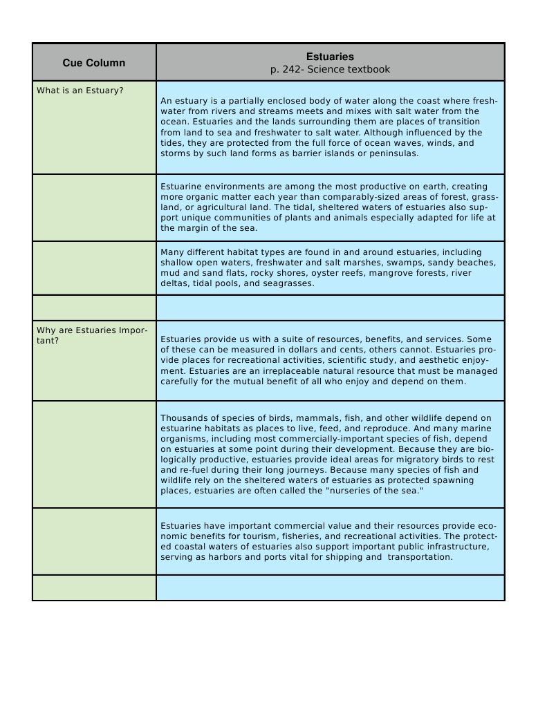 Estuaries Cornell Notes | PDF | Estuary | Marsh