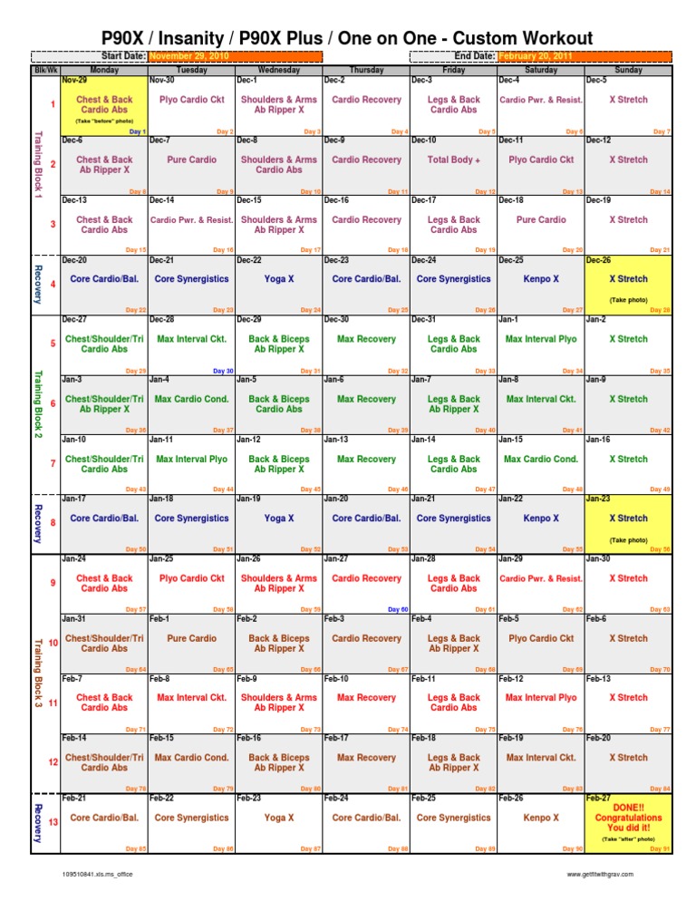 P90X Insanity Hybrid Build Your Own Workout | PDF