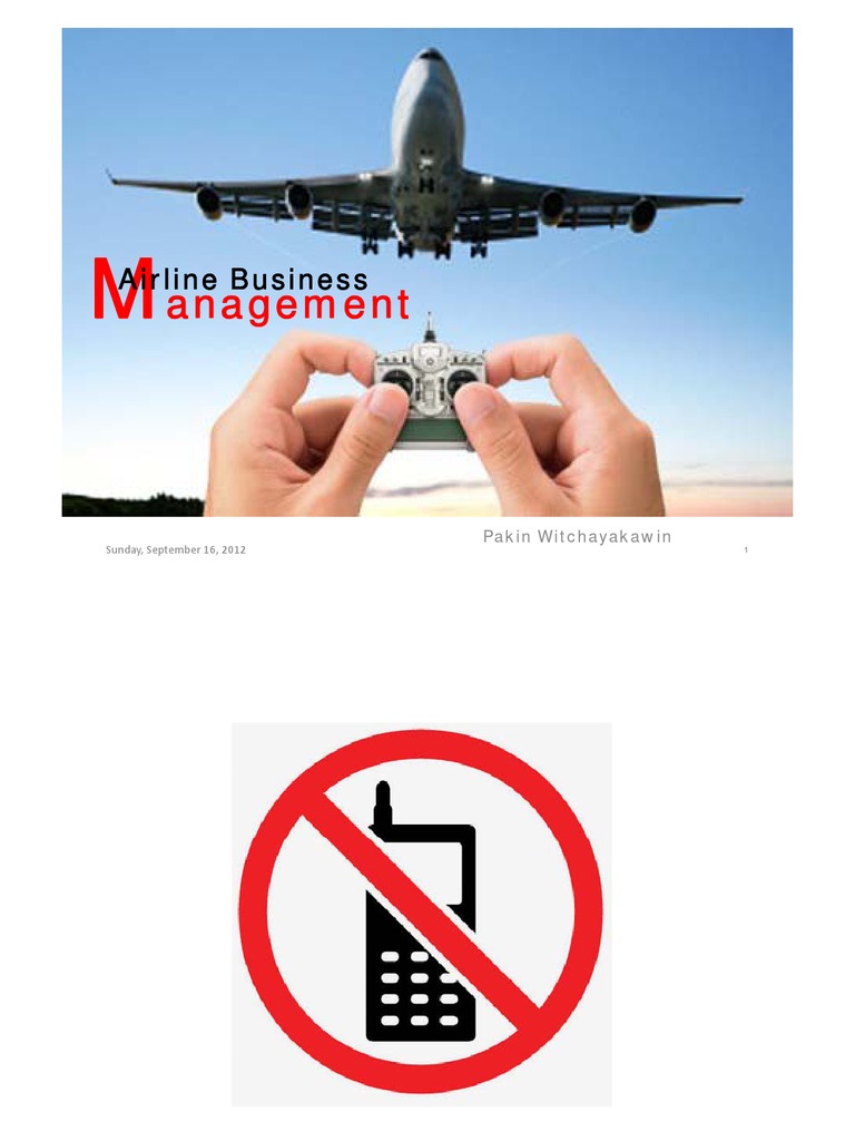 11 Airline Business Management | PDF