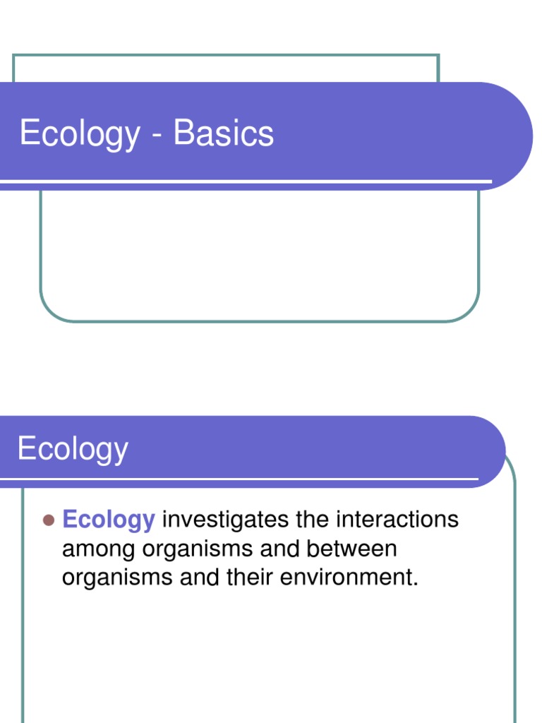 Ecology - Basics | PDF | Food Web | Ecological Niche