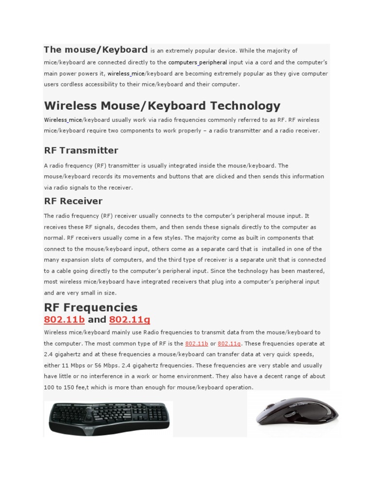 The Mouse | PDF | Wireless | Computer Keyboard