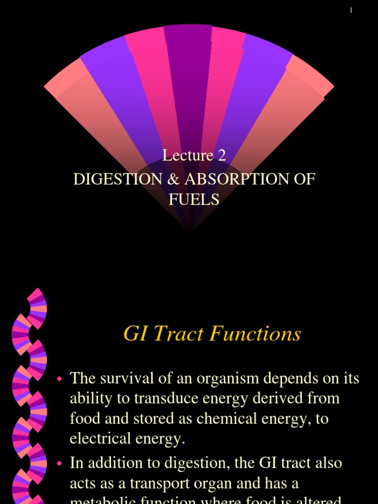 Lecture 02 (Function of GI Tract in Digestion and Adsorption) | PDF ...
