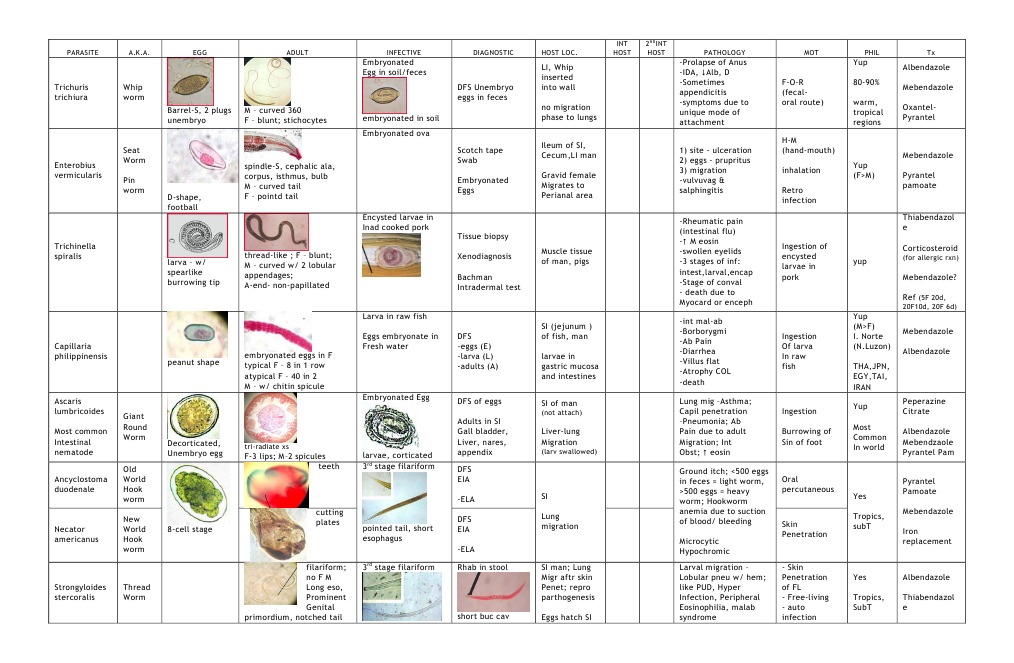 Parasitology Table Review | PDF | Diseases And Disorders | Medical ...