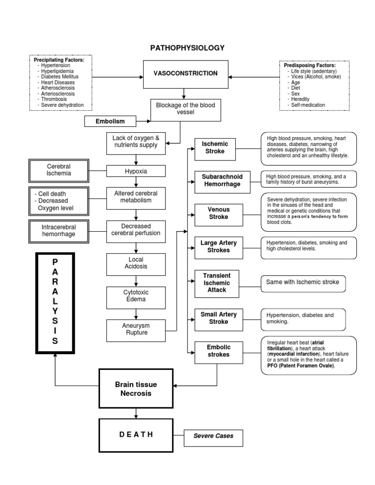 Pathophysiology of CVA | PDF