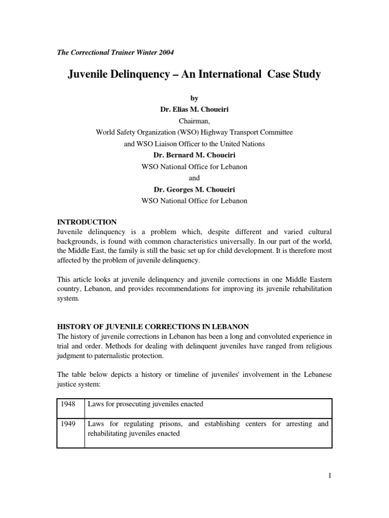 Juvenile Delinquency - International Case Study | PDF | Juvenile Delinquency | Lebanon