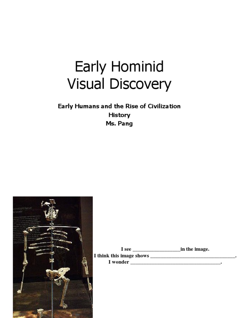 Early Hominid Visual Discovery | PDF