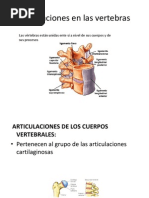 Articulaciones y Ligamentos de La Columna | PDF
