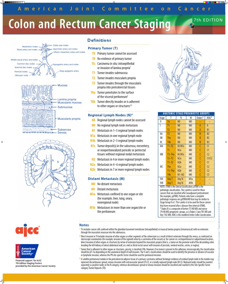 Colorectal Carcinoma Staging | PDF