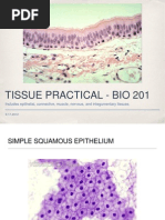 Science Olympiad: Crime Busters | PDF