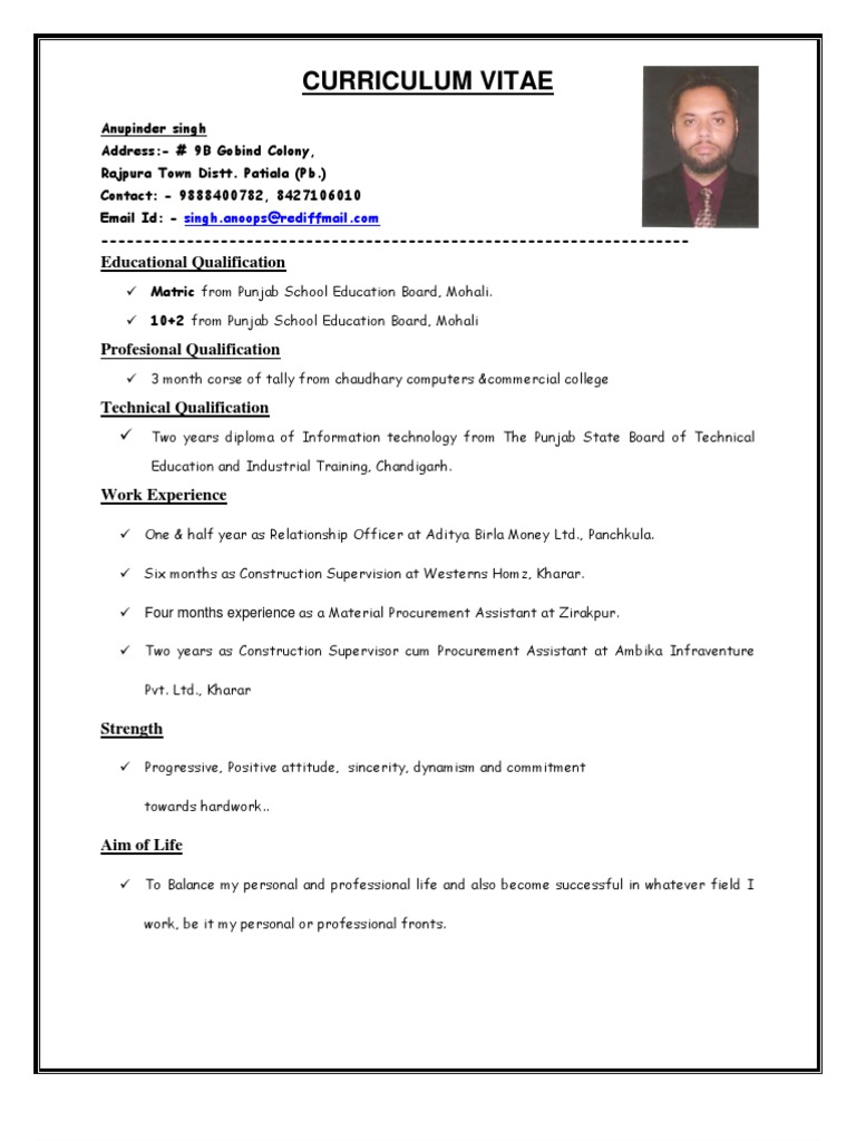 Curriculum Vitae | PDF