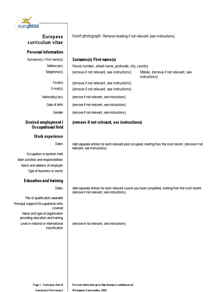CV Blanko | PDF | Cognitive Science | Communication