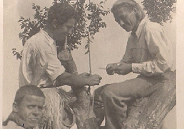 Shartimi I Pemeve Frutore (1936) | PDF