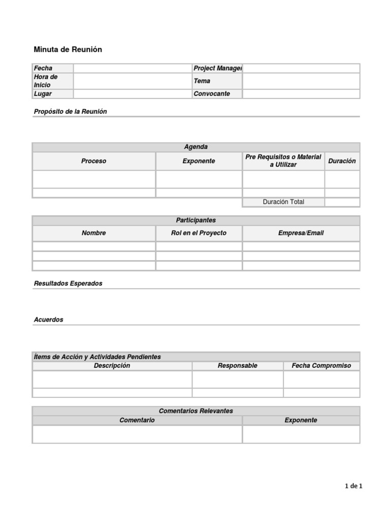 Formato de Minuta | PDF