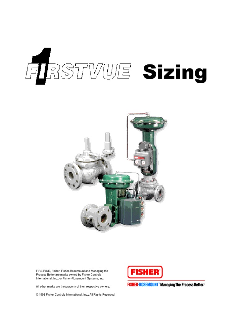 First Vue Manual | PDF | Computer File | Valve