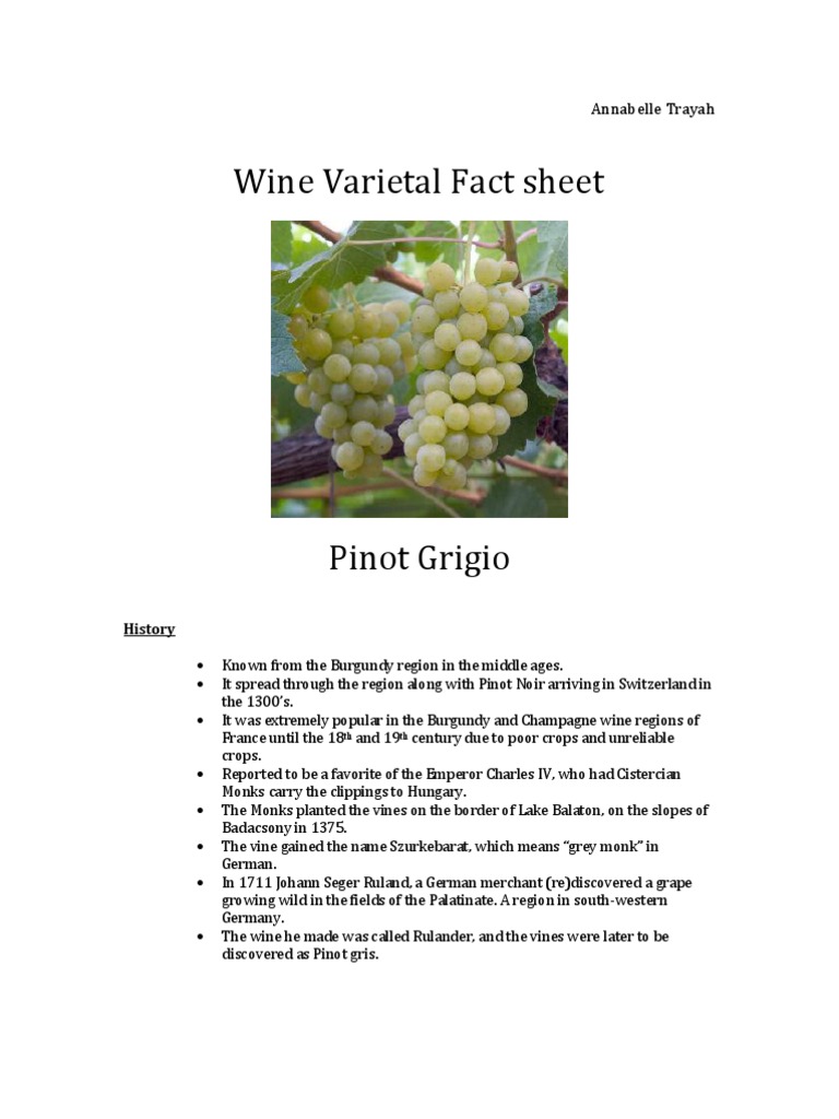 Pinot Grigio Fact Sheet | PDF | Wine | Grape Varieties