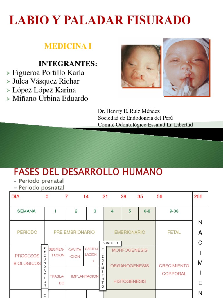 Labio y Paladar Fisurado | PDF | Otorrinolaringología | Cirugía Oral y ...