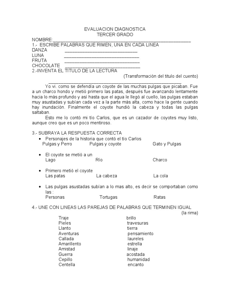 EVALUACION DIAGNOSTICA 3er - Grado Primaria | PDF | Agitación