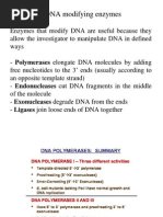 Using Bioedit | PDF | Sequence Alignment | Primer (Molecular Biology)