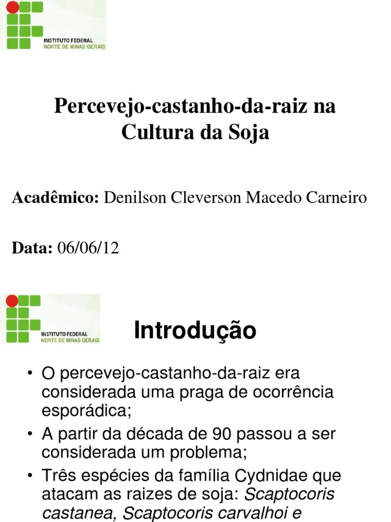 Apresentação-Percevejo Castanho | PDF | Plantas | Batata