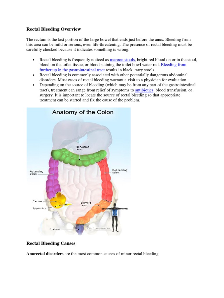 Rectal Bleeding Overview | PDF | Hemorrhoid | Inflammatory Bowel Disease