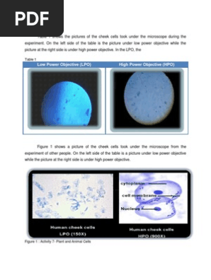Cheek Cell Low Power