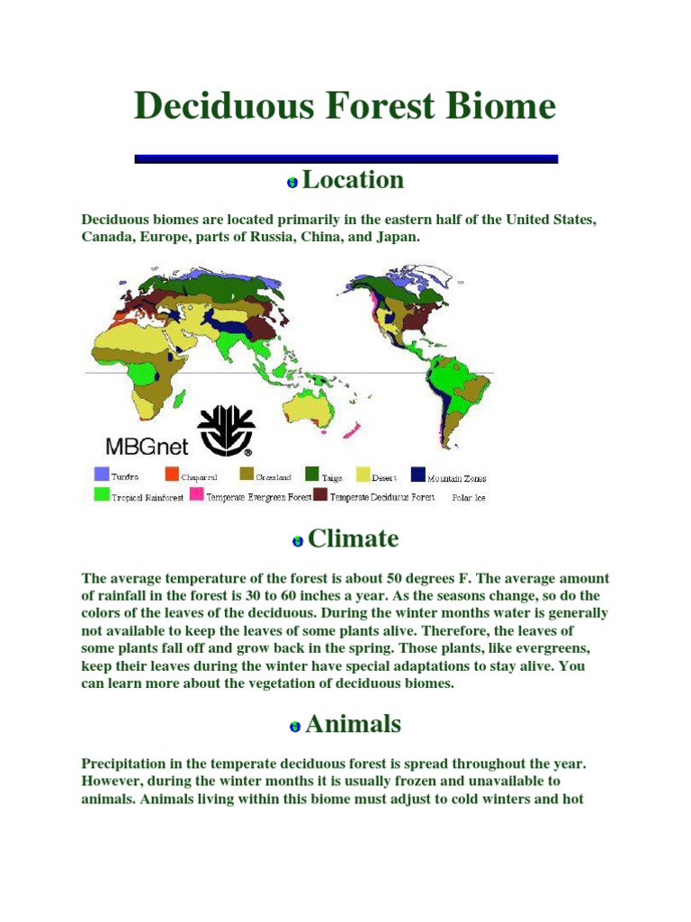 Deciduous Forest Biome | PDF | Moss | Culture Of The United States