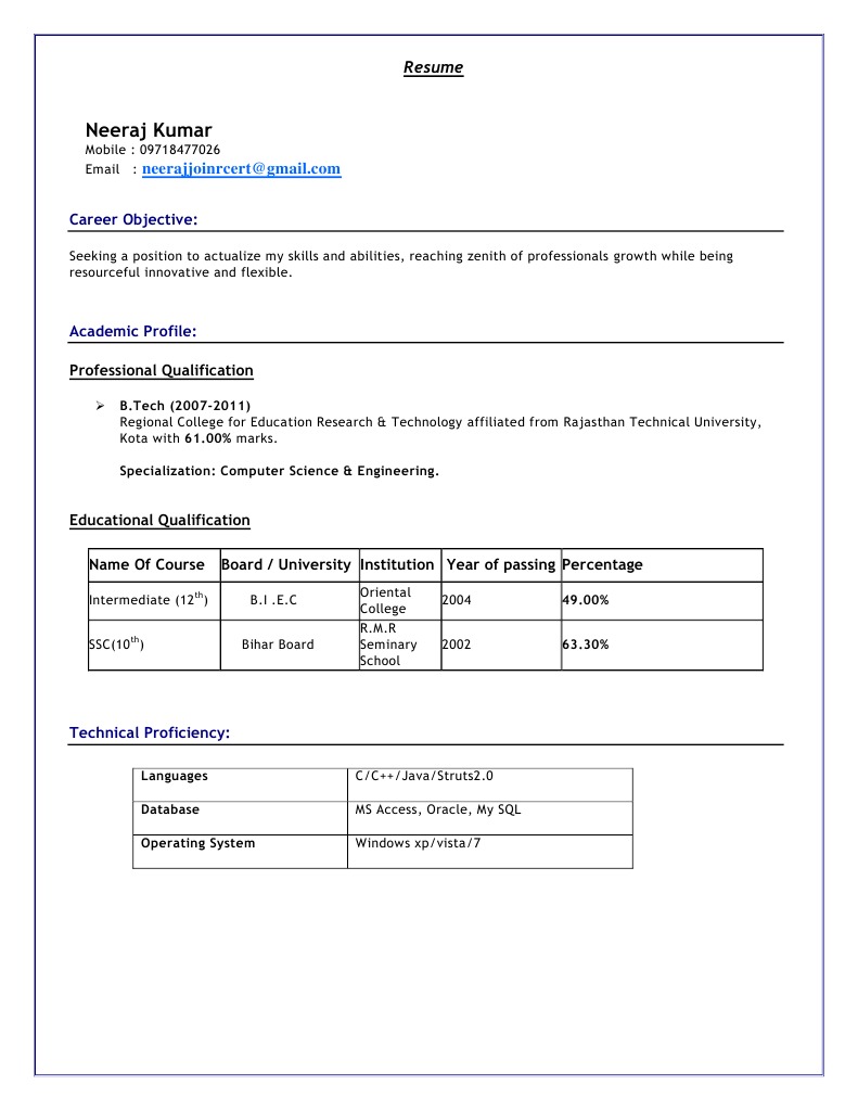 Neeraj Kumar's Professional Resume | PDF | Business | Computers