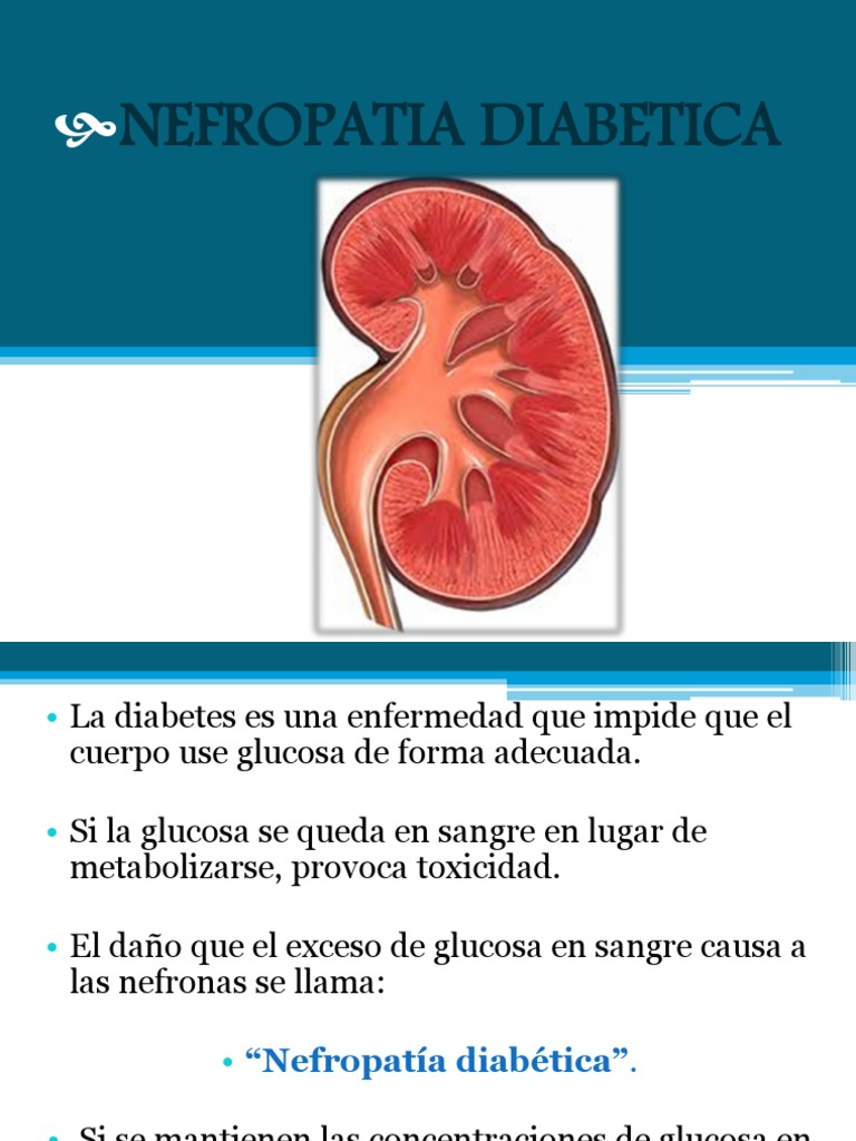 Nefropatia DM. | PDF | Diabetes mellitus | Medicina