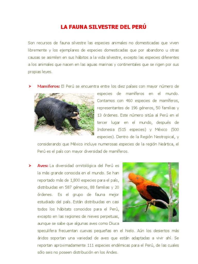 La Fauna Silvestre Del Perú | PDF | Especies | Perú