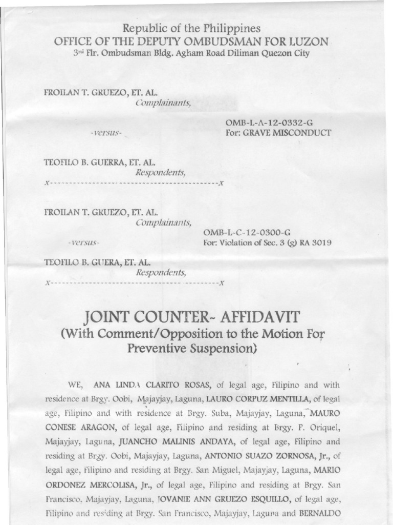 Joint-Counter Affidavit of VMayor Ana and SB Members | PDF