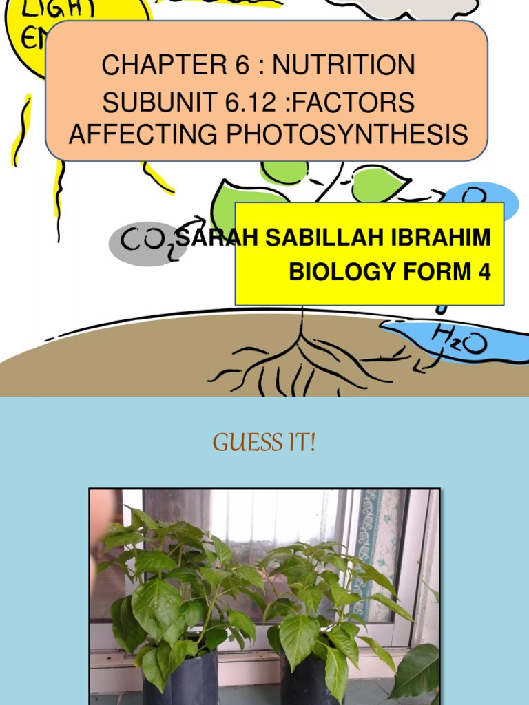 The Factors Affecting Photosynthesis | PDF | Photosynthesis | Carbon ...