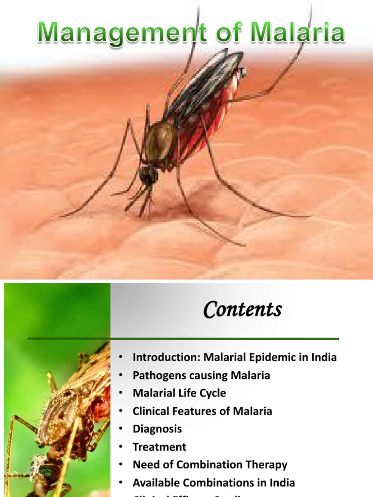 Management of Malaria | PDF | Malaria | Plasmodium Falciparum