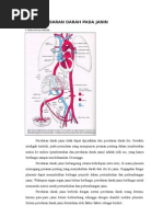 Perbedaan Sirkulasi Darah Pada Janin | PDF