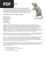 Mouse Parts | PDF | Organ (Anatomy) | Digestive System