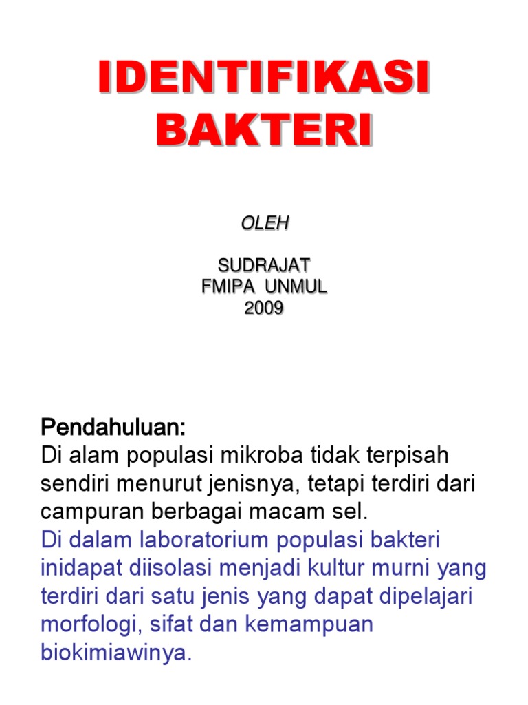 Identifikasi Bakteri | PDF | Sains & Matematika