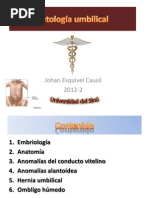 Persistencia del Conducto Onfalomesentérico | PDF | Anatomía ...